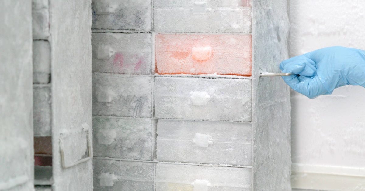 Industrial, Medical And Specialty Gases | Coregas New Zealand ...